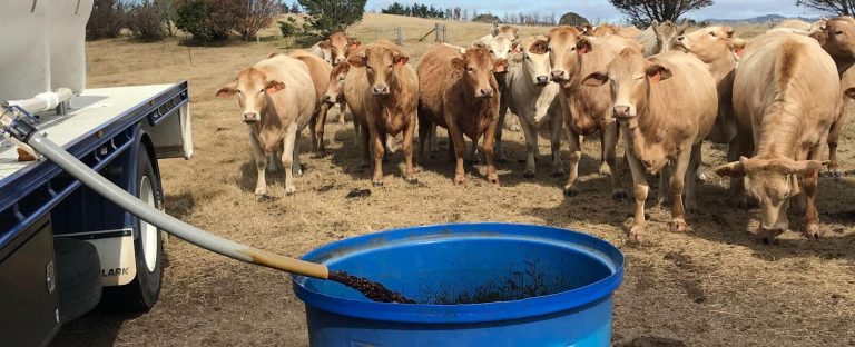 Distribution – New South Wales and Southern Queensland